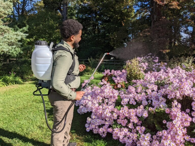 Homepage - Repellent Service