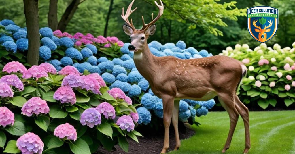 Do Deer Eat Hydrangeas? Protecting Your Blooms Naturally