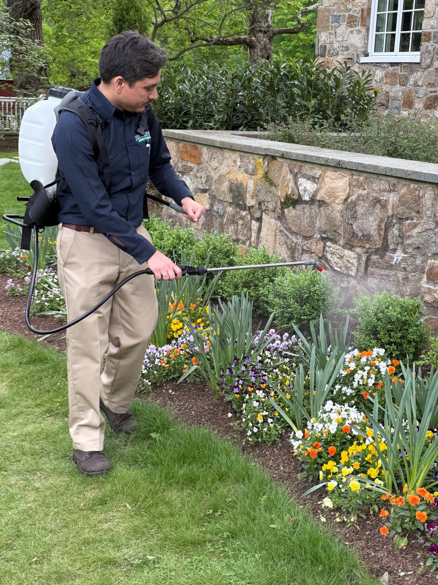 Deer Solution: Deer Control – Repellent Service Company - Deer Solution